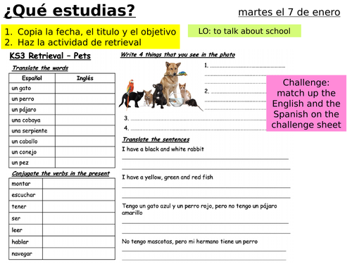 Year 7 Spanish - Viva 1 - Module 3 En mi insti | Teaching Resources