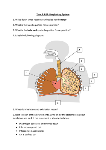 AQA KS3 Breathing and Respiration COMPLETE LESSONS | Teaching Resources