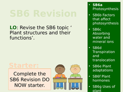 Edexcel SB6/CB6 Teacher Led Revision Lesson | Teaching Resources
