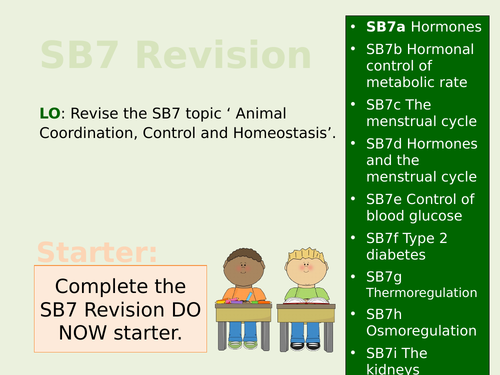 Edexcel SB7/CB7 Teacher Led Revision Lesson | Teaching Resources