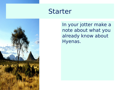 'Hyena' - Edwin Morgan | Teaching Resources