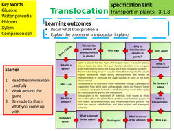 A Level Biology Translocation in Plants Lesson & Activities | Teaching ...