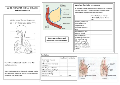 BTEC Applied Human Biology: Unit 1 revision checklists | Teaching Resources BTEC Applied Human Biology: Unit 1 revision checklists | Teaching Resources