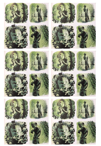 Y6 The Savage - David Almond Narrative Planning | Teaching Resources