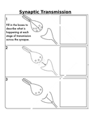 AQA A Level Psychology Year 2 - Biopsychology - Neurons & Synaptic ...