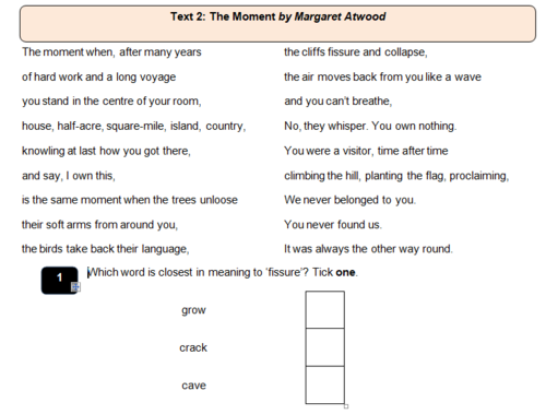 Year 6 SATS Reading Revision 1-5 | Teaching Resources