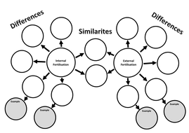 Internal and External Fertilisation Worksheet | Teaching Resources