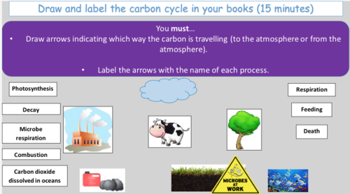 KS3 Activate Carbon Cycle | Teaching Resources