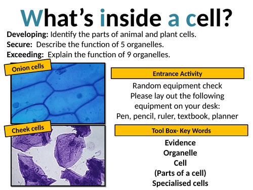 Exploring Science 7A Cells, Tissues, Organs and Systems | Teaching ...
