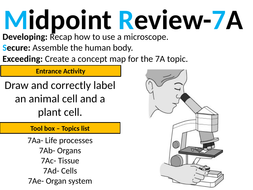 Exploring Science 7A Cells, Tissues, Organs and Systems | Teaching ...