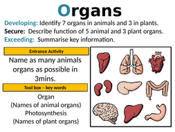 Exploring Science 7A Cells, Tissues, Organs and Systems | Teaching ...