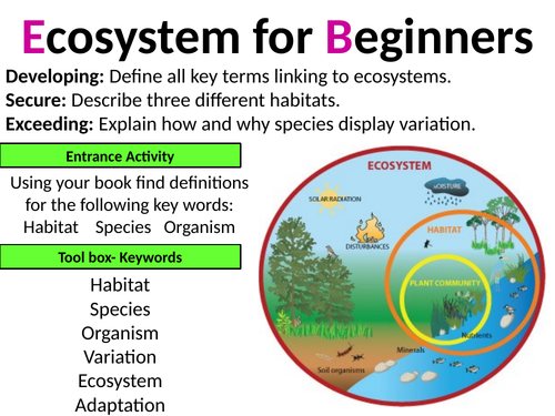 All in! Exploring science! | Teaching Resources