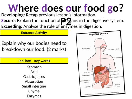 Exploring Science 8A Food and Nutrition | Teaching Resources