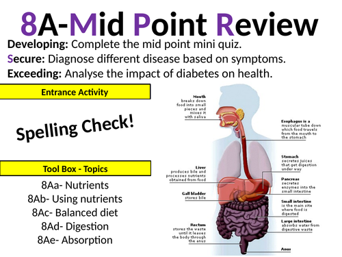 Exploring Science 8A Food and Nutrition | Teaching Resources