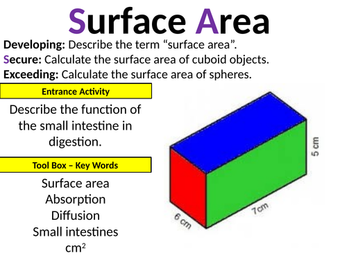 Exploring Science 8A Food and Nutrition | Teaching Resources
