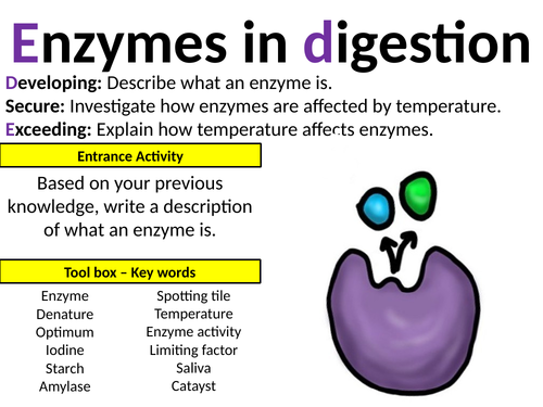 Exploring Science 8A Food and Nutrition | Teaching Resources