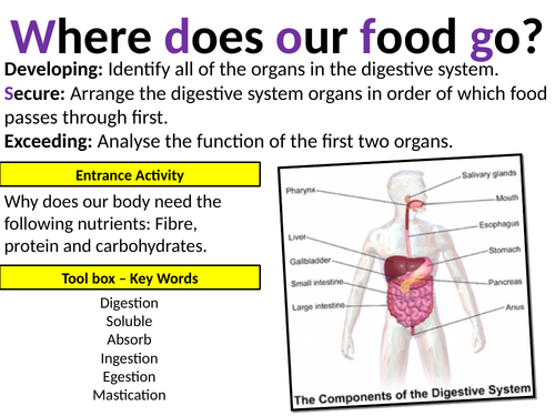 Exploring Science 8A Food and Nutrition | Teaching Resources