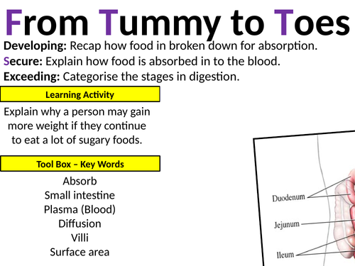 Exploring Science 8A Food and Nutrition | Teaching Resources