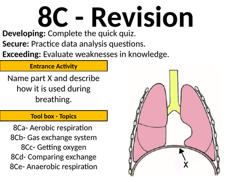Exploring Science 8C Breathing and respiration | Teaching Resources