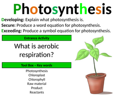 Exploring Science 9B Plant growth | Teaching Resources