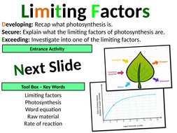 Exploring Science 9B Plant growth | Teaching Resources