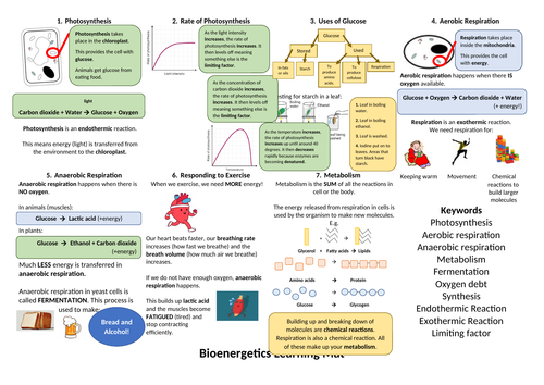 AQA Bioenergetics SEN Learning Mat | Teaching Resources