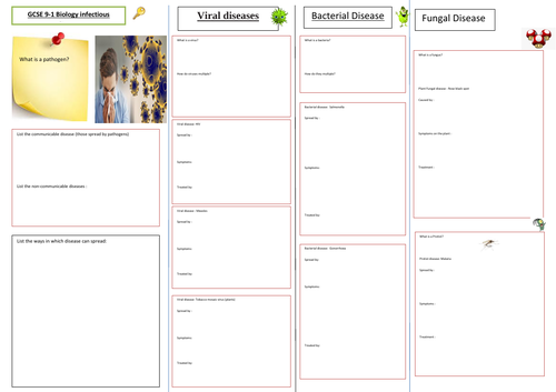 Infectious diseases | Teaching Resources