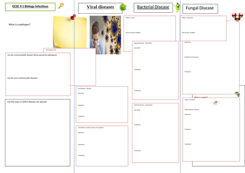Infectious diseases | Teaching Resources