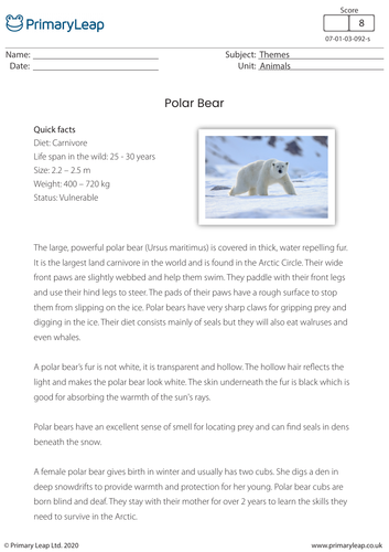Polar Bear Comprehension | Teaching Resources