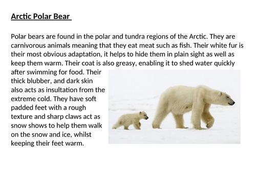 Cold Environments SoW | Teaching Resources Cold Environments SoW | Teaching Resources