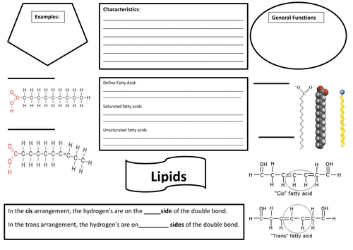 AQA Biological Molecules - BUNDLE | Teaching Resources