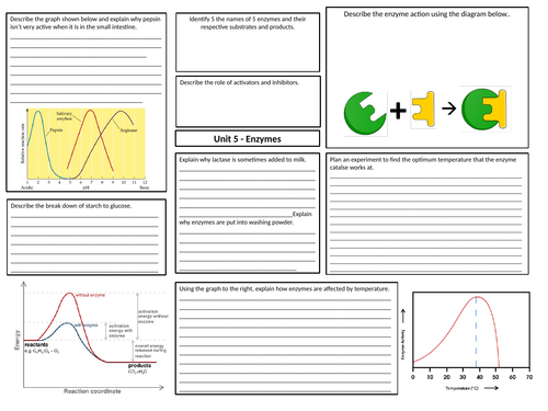 AQA Enzymes | Teaching Resources