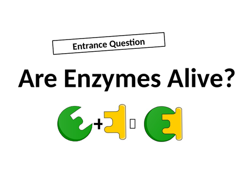 Aqa Enzymes Teaching Resources