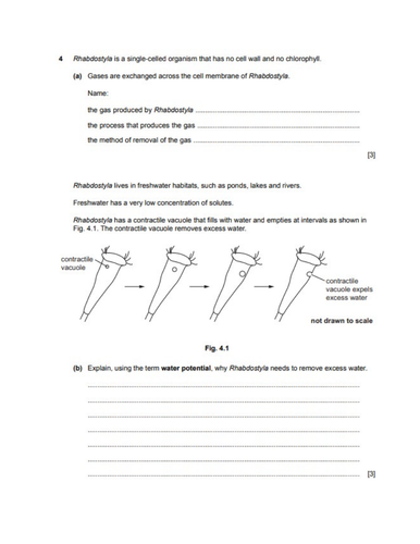 AQA B1 Diffusion, Osmosis, Active transport (3 Lessons) | Teaching Resources