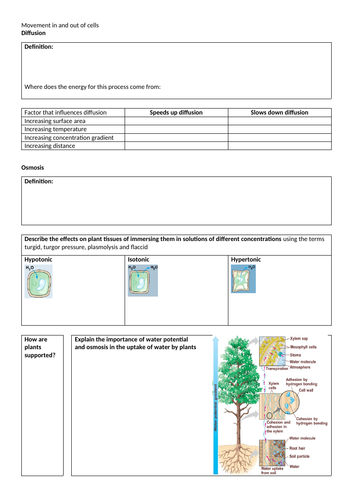 Movement In And Out Of Cells Igcse Biology Notes 2020