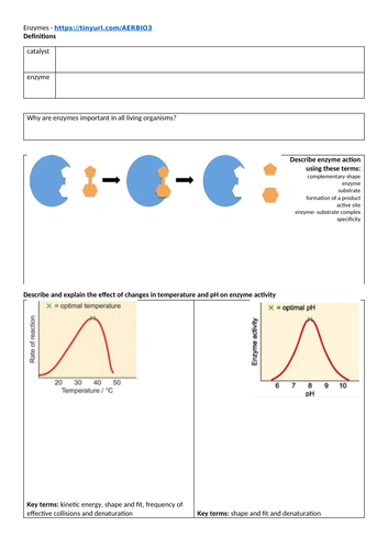 Revision workbooks for Biological Molecules and Enzymes - Cambridge ...