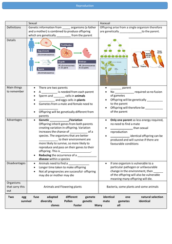 GCSE 9-1 Sexual and asexual reproduction, selective breeding, cloning ...