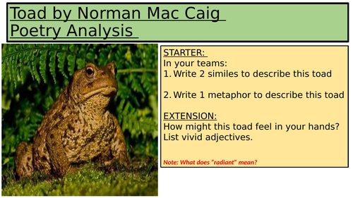 KS 3 Poetry - Toad Mc Caig | Teaching Resources