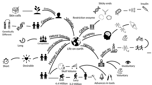 Dual Coding revision: Edexcel-Biology | Teaching Resources