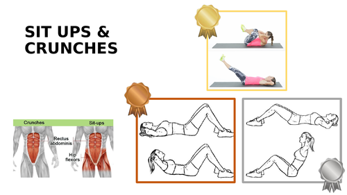 Circuit Training differentiated stations | Teaching Resources