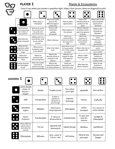 Dice Revision Grid: Plants & Ecosystems | Teaching Resources