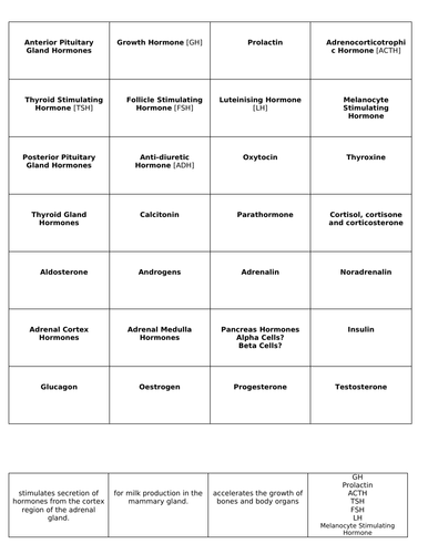 Hormone Flashcards | Teaching Resources