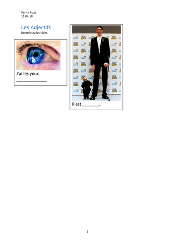 Adjectives in French 2 | Teaching Resources