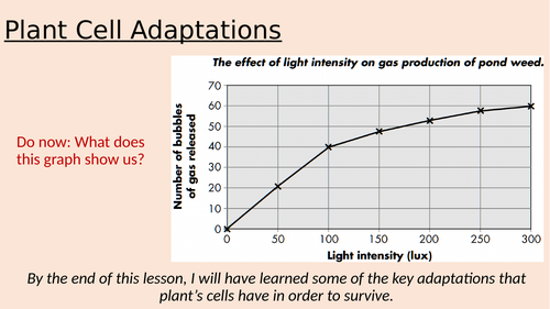 Plant Adaptations | Teaching Resources