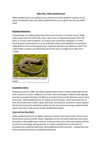 Yellow-Spotted Lizard Fact File Example | Teaching Resources