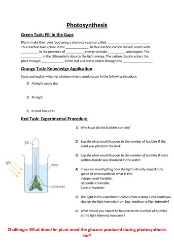Photosynthesis Worksheet | Teaching Resources