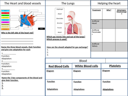 GCSE Biology B4 Revision Placemat | Teaching Resources