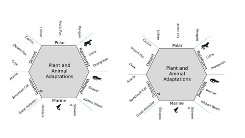 Adaptations Hexagon Activity AQA GCSE Biology Trilogy | Teaching Resources