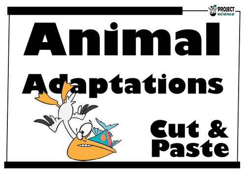 Animal Adaptations Cut and Paste Activity | Teaching Resources