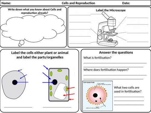 KS3 Revision Worksheet: Cells & Reproduction | Teaching Resources